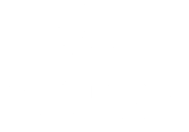 Handpans Opsilon Instruments | 5 Jahre Garantie | Made in Germany
